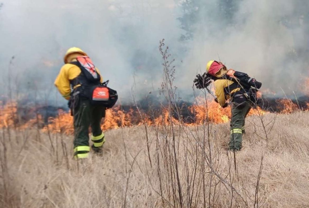 Nuevo incendio forestal se registra al norte de Quito - Ecuador en Directo